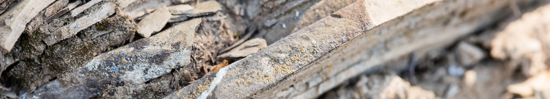 Interactive Data and Tools | Alberta Geological Survey